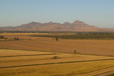 Select Kagayaki - Daiei Trading